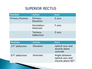 ANATOMY AND PHYSIOLOGY OF EXTRAOCULAR MUSCLES.pptx