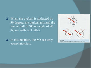 ANATOMY AND PHYSIOLOGY OF EXTRAOCULAR MUSCLES.ppt