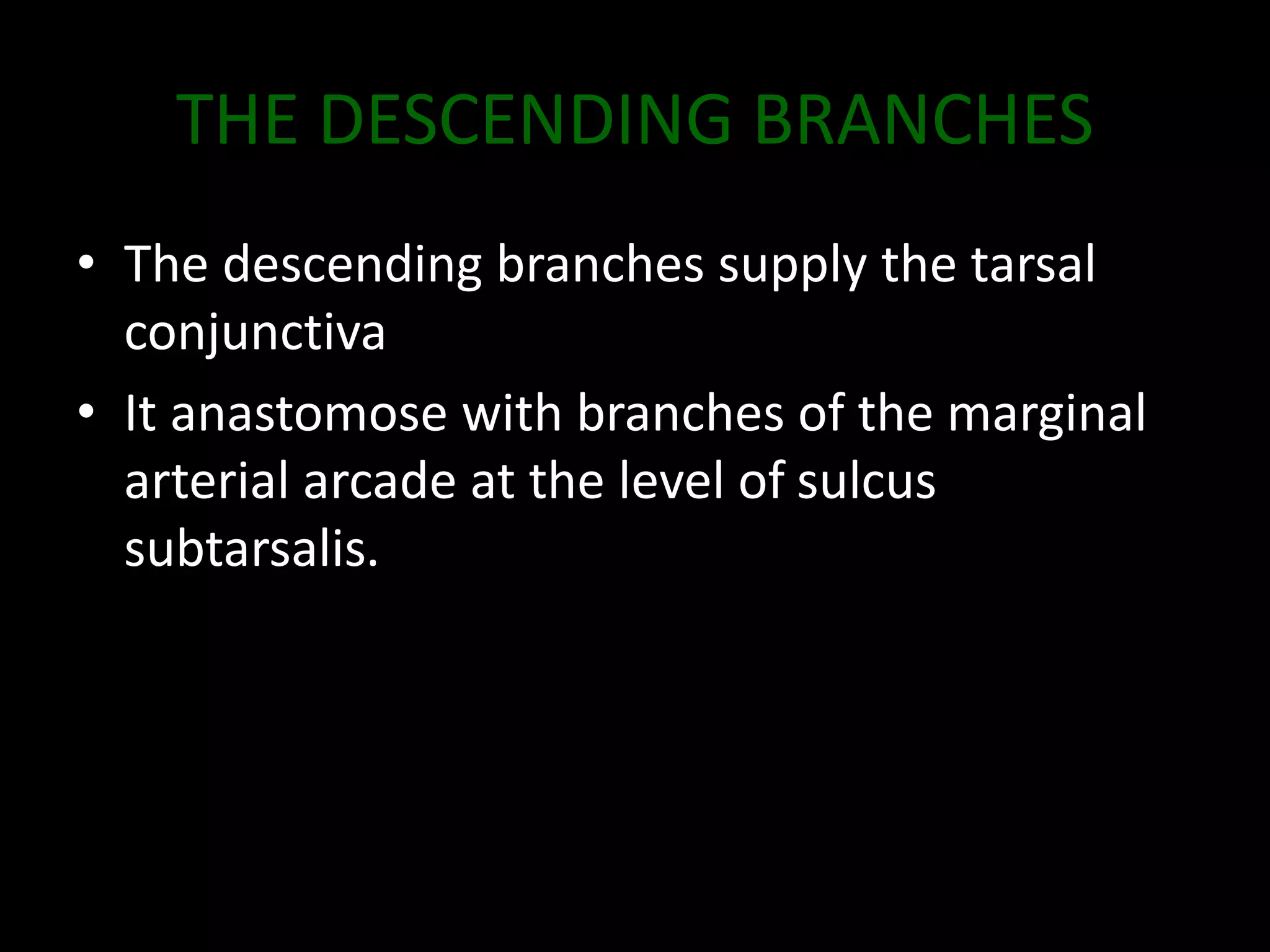 Anatomy and physiology of eye, general introduction. | PPTX