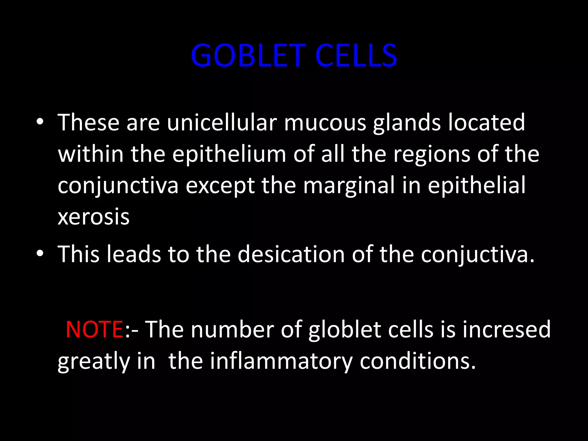 Anatomy and physiology of eye, general introduction. | PPTX