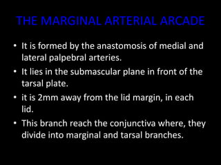 Anatomy and physiology of eye, general introduction. | PPTX