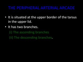 Anatomy and physiology of eye, general introduction. | PPTX