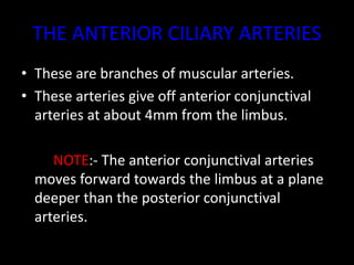 Anatomy and physiology of eye, general introduction. | PPTX