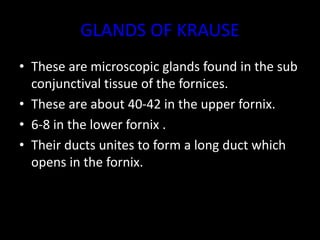 Anatomy and physiology of eye, general introduction. | PPTX