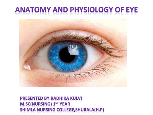 Anatomy And Physiology Of Eyepptx