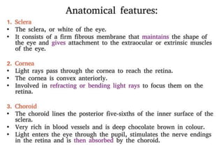 Anatomy and Physiology of Eye.pptx
