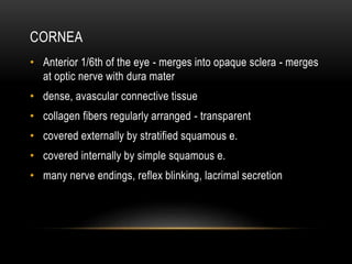 Anatomy_and_Physiology_of_eye.pptx