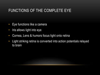Anatomy_and_Physiology_of_eye.pptx
