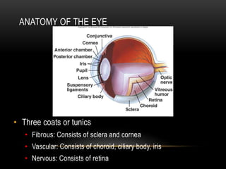 Anatomy_and_Physiology_of_eye.pptx