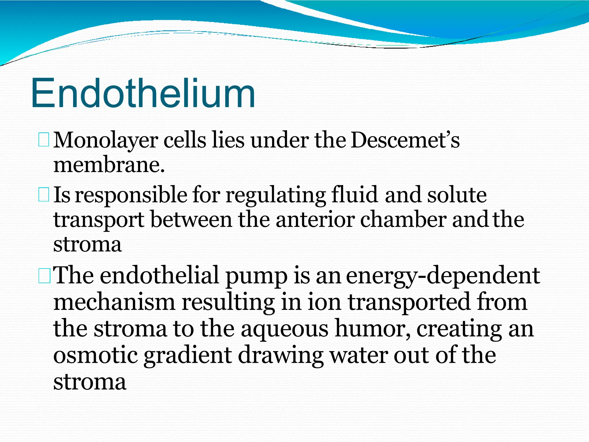 anatomy and physiology of eye.ppt.anatomy and physiology of eyex | PPTX