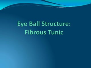 anatomy and physiology of eye.ppt.anatomy and physiology of eyex | PPTX