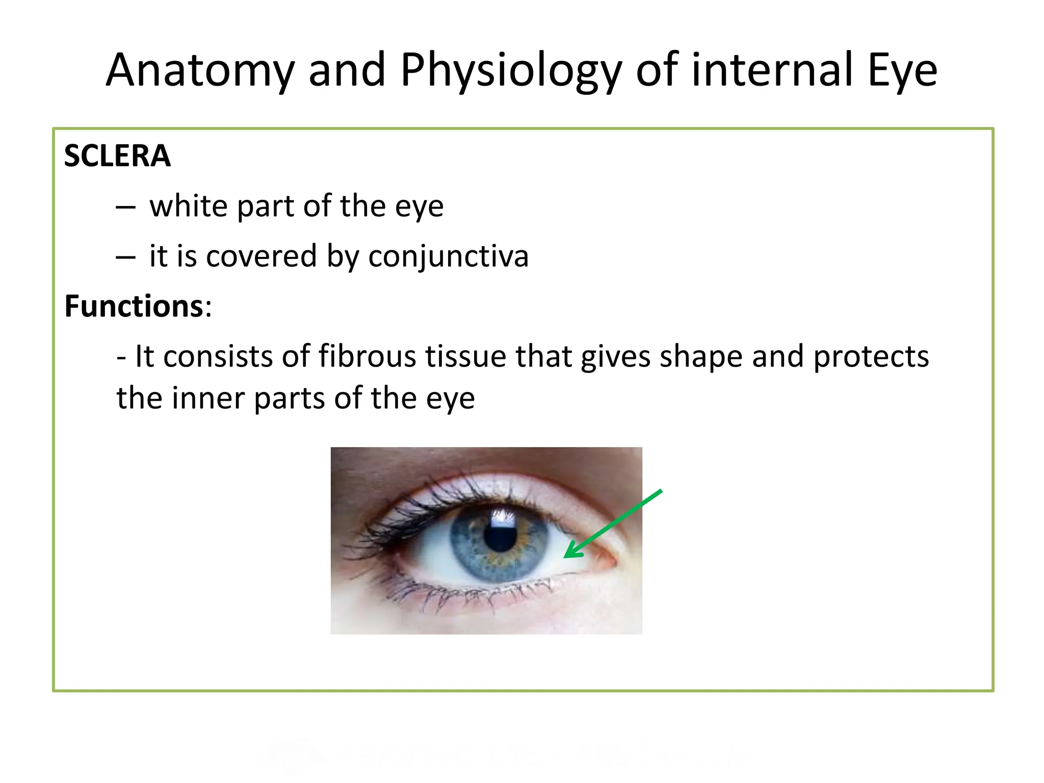 Anatomy and physiology of Eye Anatomy and physiology of Eye | PPTX