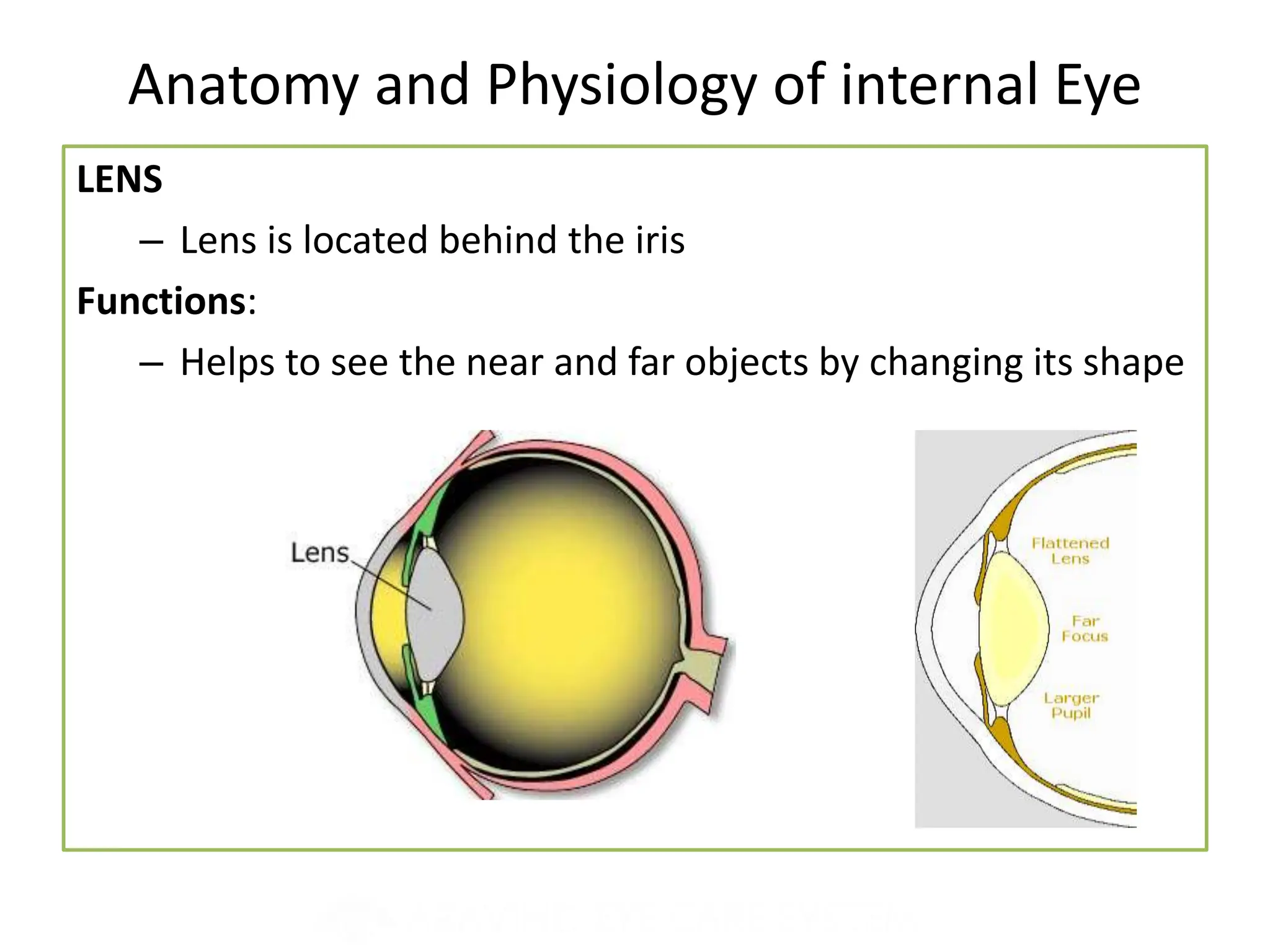 Anatomy and physiology of Eye Anatomy and physiology of Eye | PPT