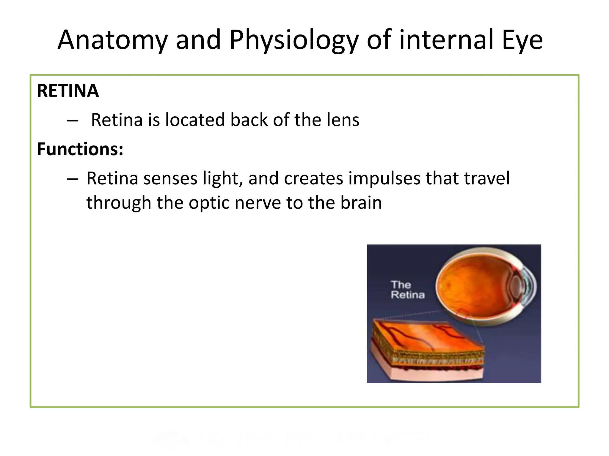 Anatomy and physiology of Eye Anatomy and physiology of Eye | PPTX