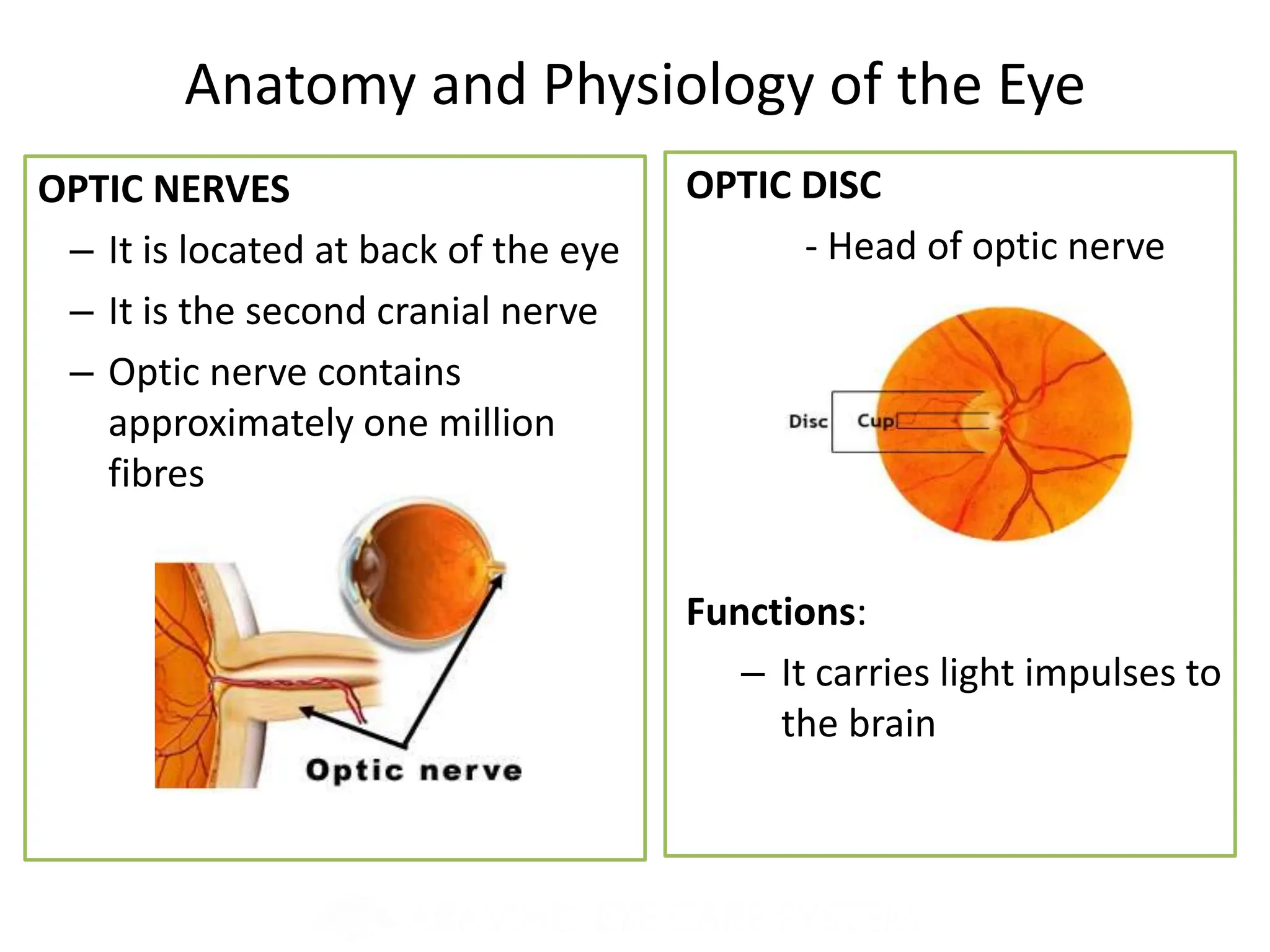 Anatomy and physiology of Eye Anatomy and physiology of Eye | PPTX