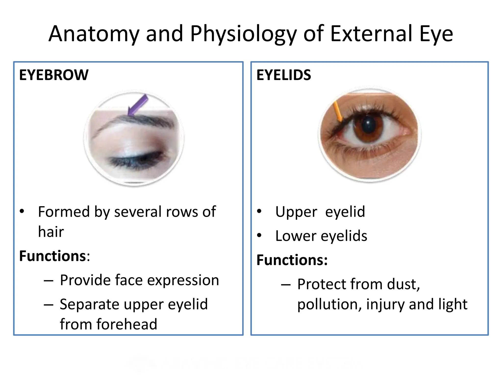 Anatomy and physiology of Eye Anatomy and physiology of Eye | PPTX
