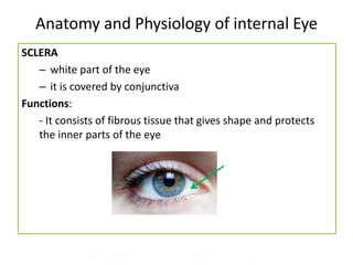 Anatomy and physiology of Eye Anatomy and physiology of Eye | PPTX