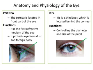 Anatomy and physiology of Eye Anatomy and physiology of Eye | PPTX