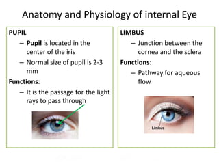 Anatomy and physiology of Eye Anatomy and physiology of Eye | PPTX