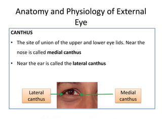 Anatomy and physiology of Eye Anatomy and physiology of Eye | PPT
