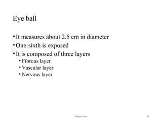 Anatomy and physiology of eye by maghan das | PPT | Eye and Vision ...