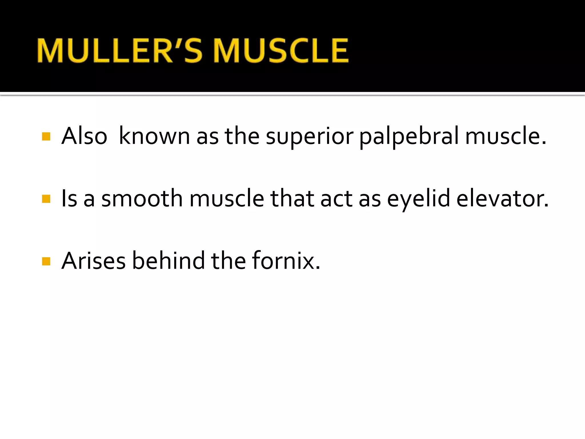 Anatomy and physiology of eyelid asif | PPTX