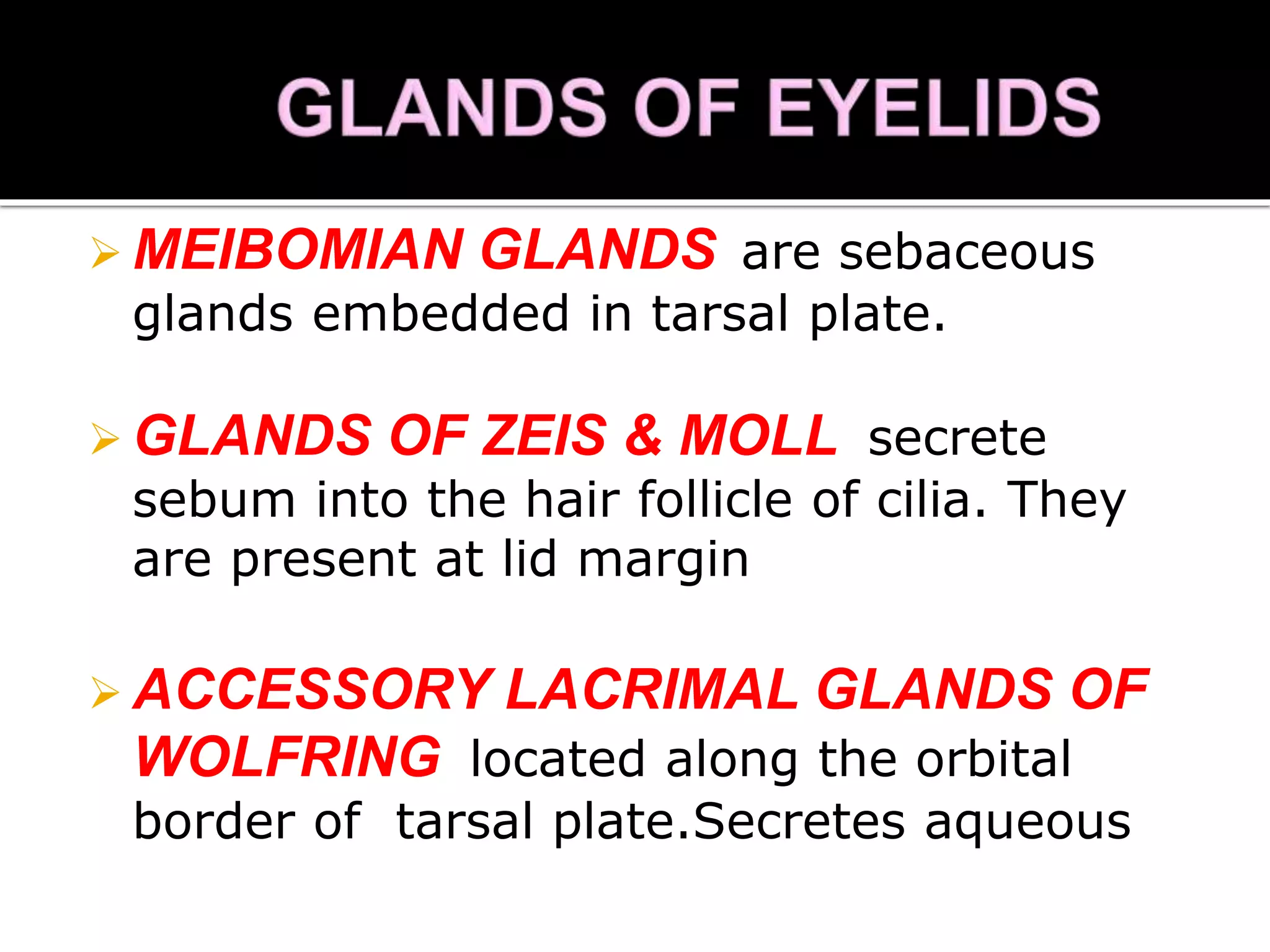 Anatomy and physiology of eyelid asif | PPTX