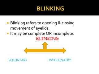 Anatomy and physiology of eyelid asif | PPTX | Eye and Vision ...