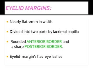 Anatomy and physiology of eyelid asif | PPTX | Eye and Vision ...