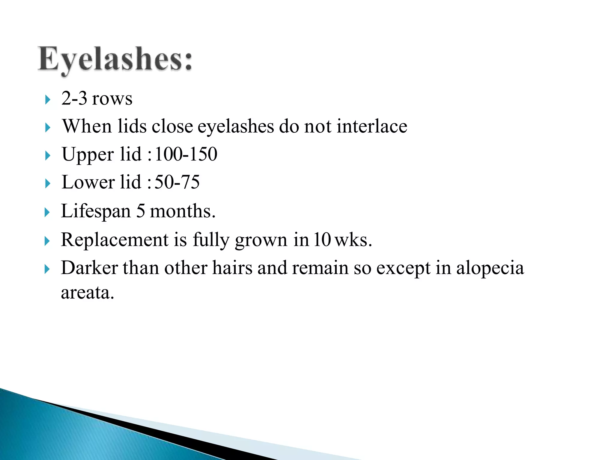 Anatomy and physiology of eyelids | PPTX