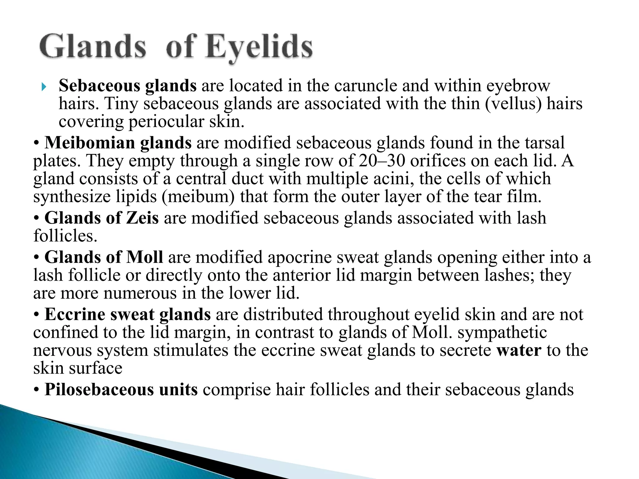 Anatomy and physiology of eyelids | PPTX