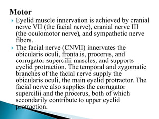 Anatomy and physiology of eyelids | PPTX