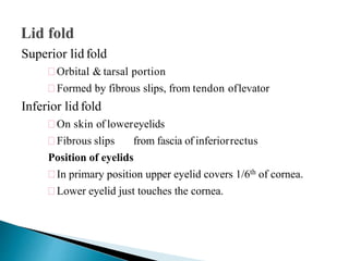 Anatomy and physiology of eyelids | PPTX