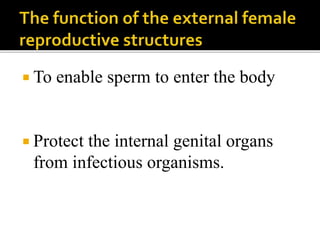 anatomyandphysiologyoffemalereproductivesystem-160229181400.pdf