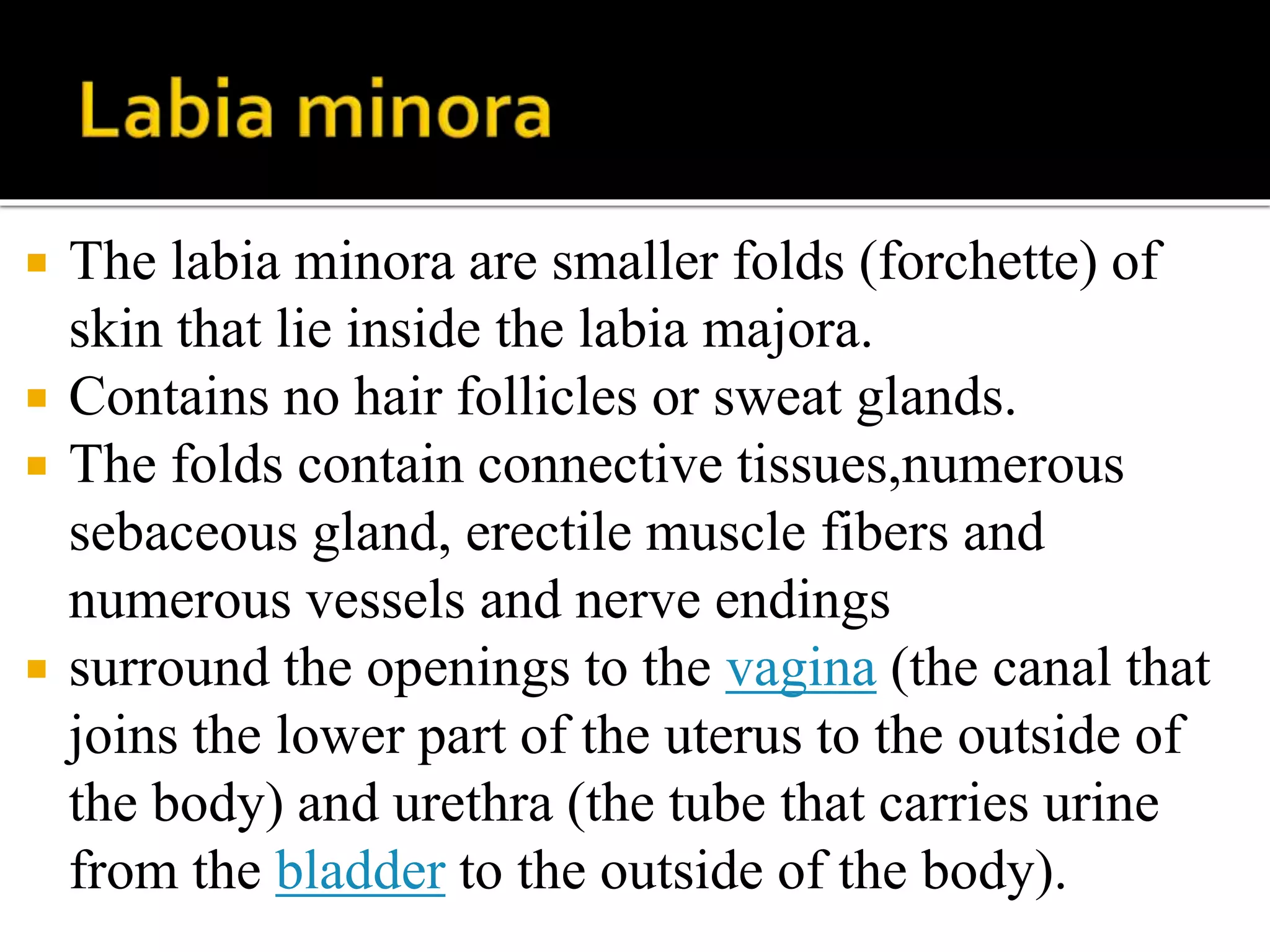 Anatomy and physiology of female reproductive system | PPTX