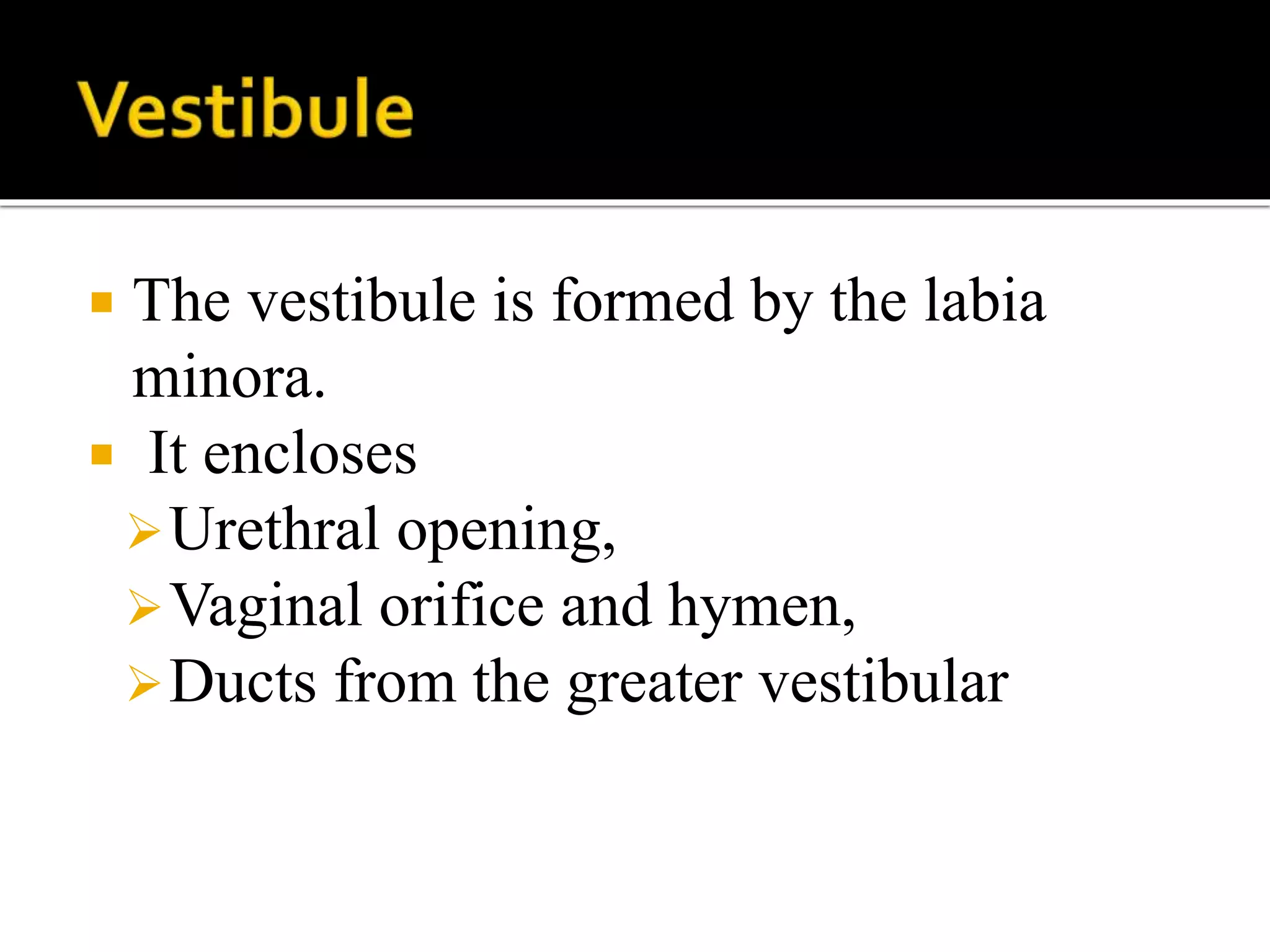 Anatomy and physiology of female reproductive system | PPTX