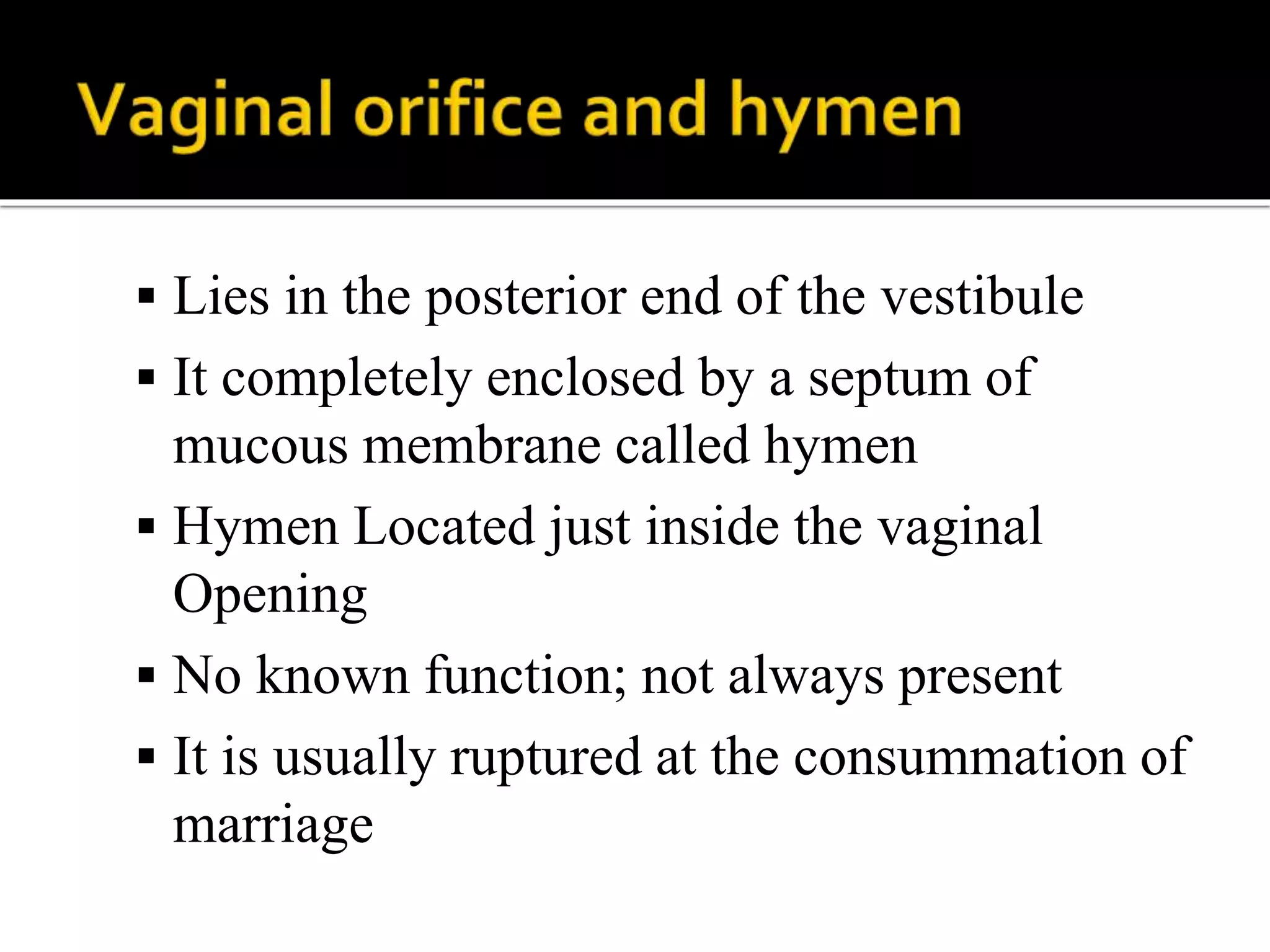 Anatomy and physiology of female reproductive system | PPTX