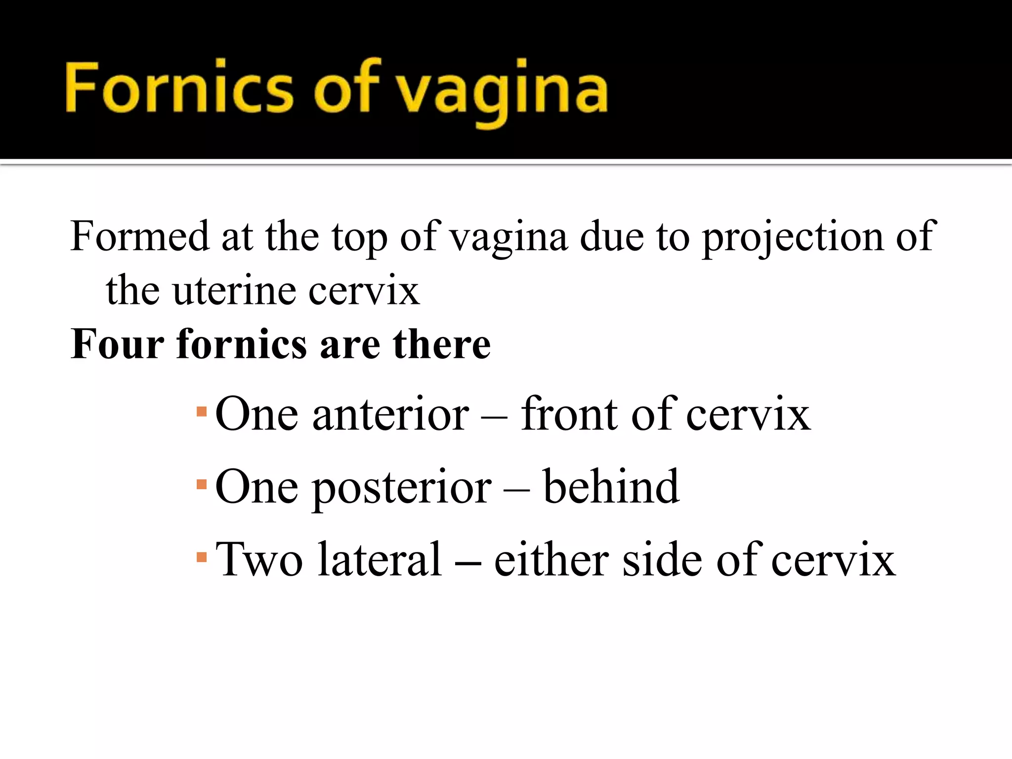 Anatomy and physiology of female reproductive system | PPTX