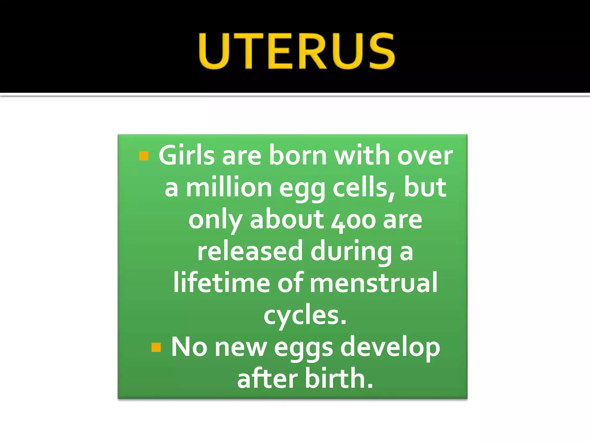 Anatomy and physiology of female reproductive system | PPTX