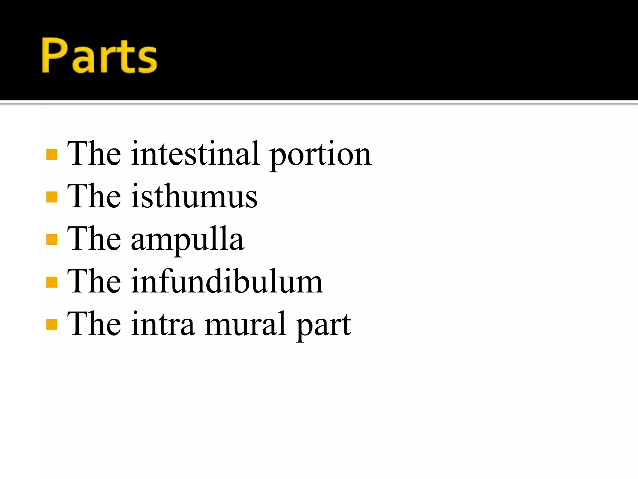 Anatomy and physiology of female reproductive system | PPTX