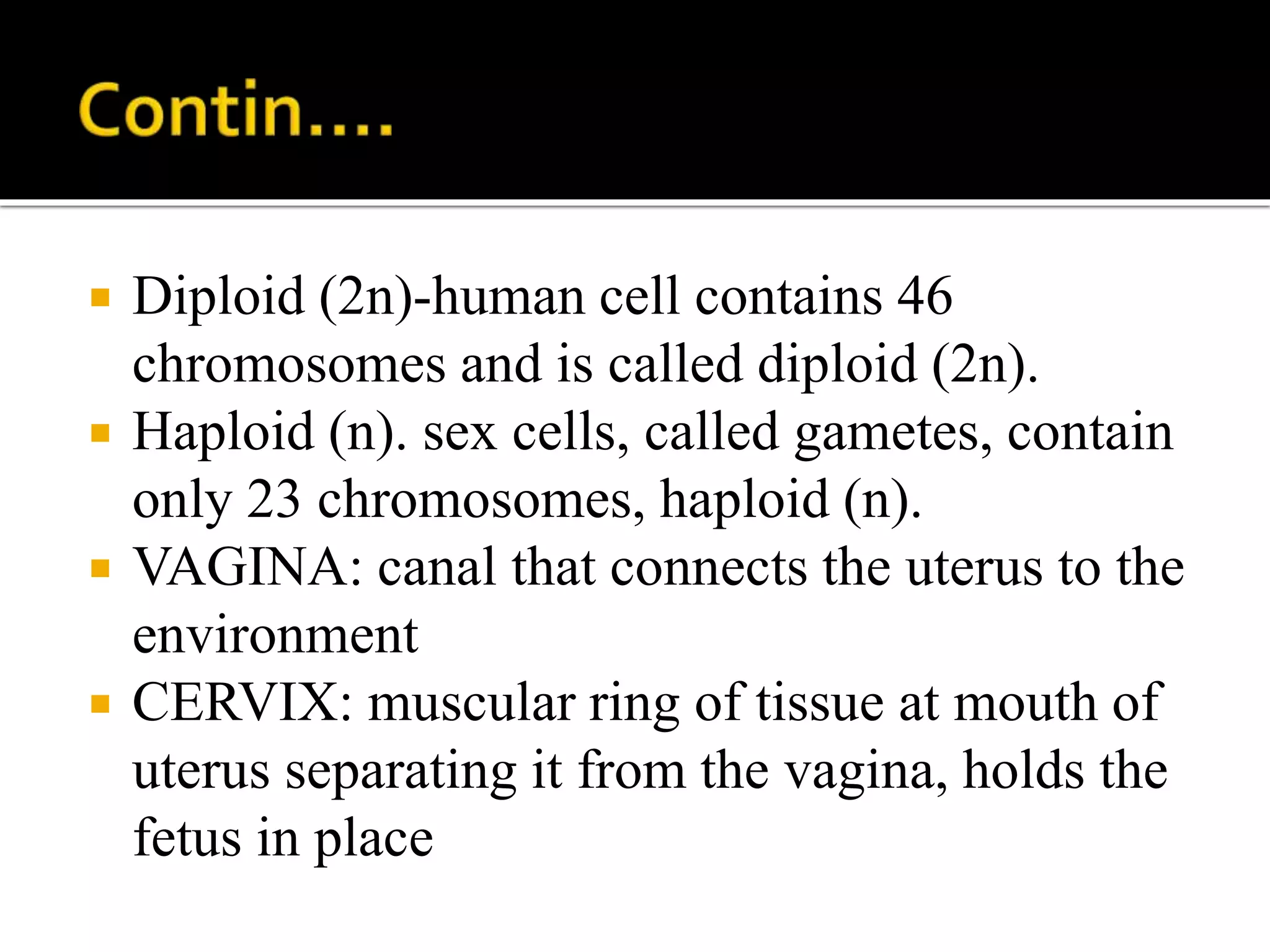 Anatomy and physiology of female reproductive system | PPTX