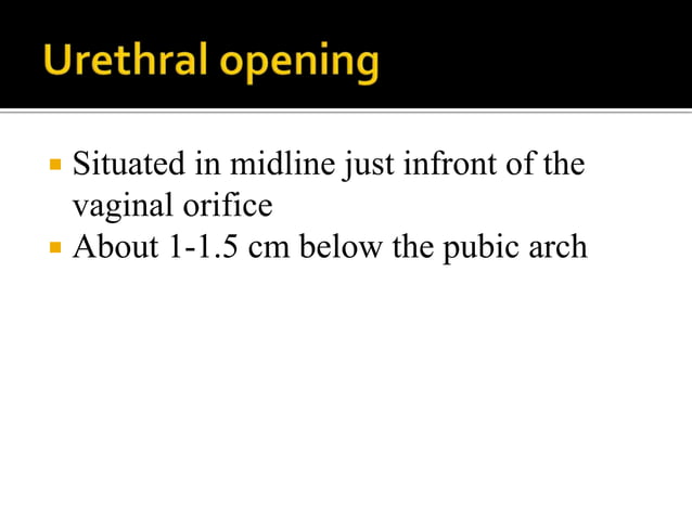 Anatomy and physiology of female reproductive system | PPTX ...