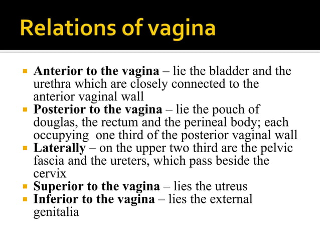 Anatomy and physiology of female reproductive system | PPTX ...