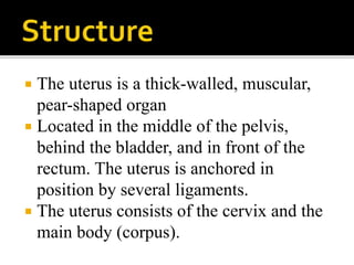 Anatomy and physiology of female reproductive system | PPTX