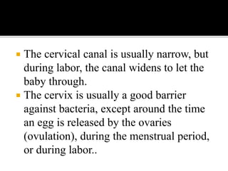 Anatomy and physiology of female reproductive system | PPTX