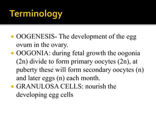 Anatomy and physiology of female reproductive system | PPTX