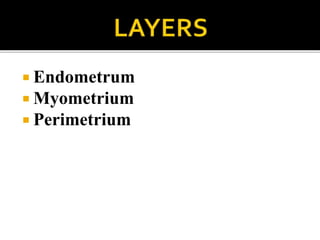 Anatomy and physiology of female reproductive system | PPTX