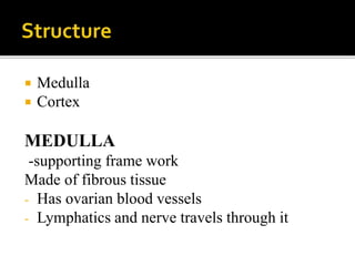 Anatomy and physiology of female reproductive system | PPTX