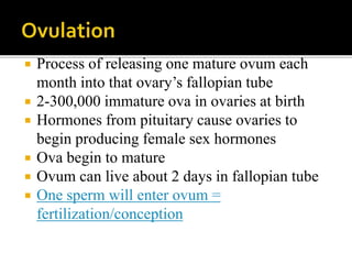 Anatomy and physiology of female reproductive system | PPTX