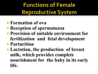 Anatomy and physiology of female reproductive system | PPTX